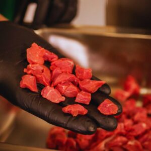 Fajita Ninja Large – Fajita Ninja